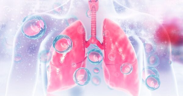 Alcohol Impacts Your Immune System | Metabolix Health