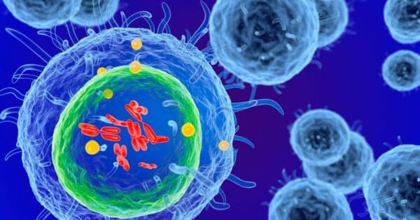 Alcohol Impacts Your Immune System | Metabolix Health